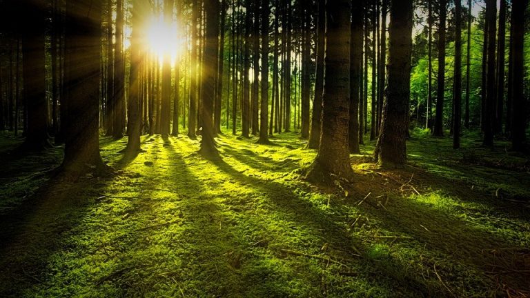 The effects of human activities on natural landscapes - dternity.net